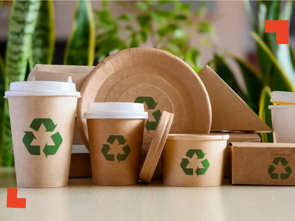 Ecofriendly, Sustainable and Recycling Packaging - Rubik Exim